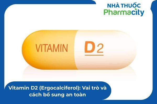 Vitamin D2 (Ergocalciferol): Vai trò và cách bổ sung an toàn
