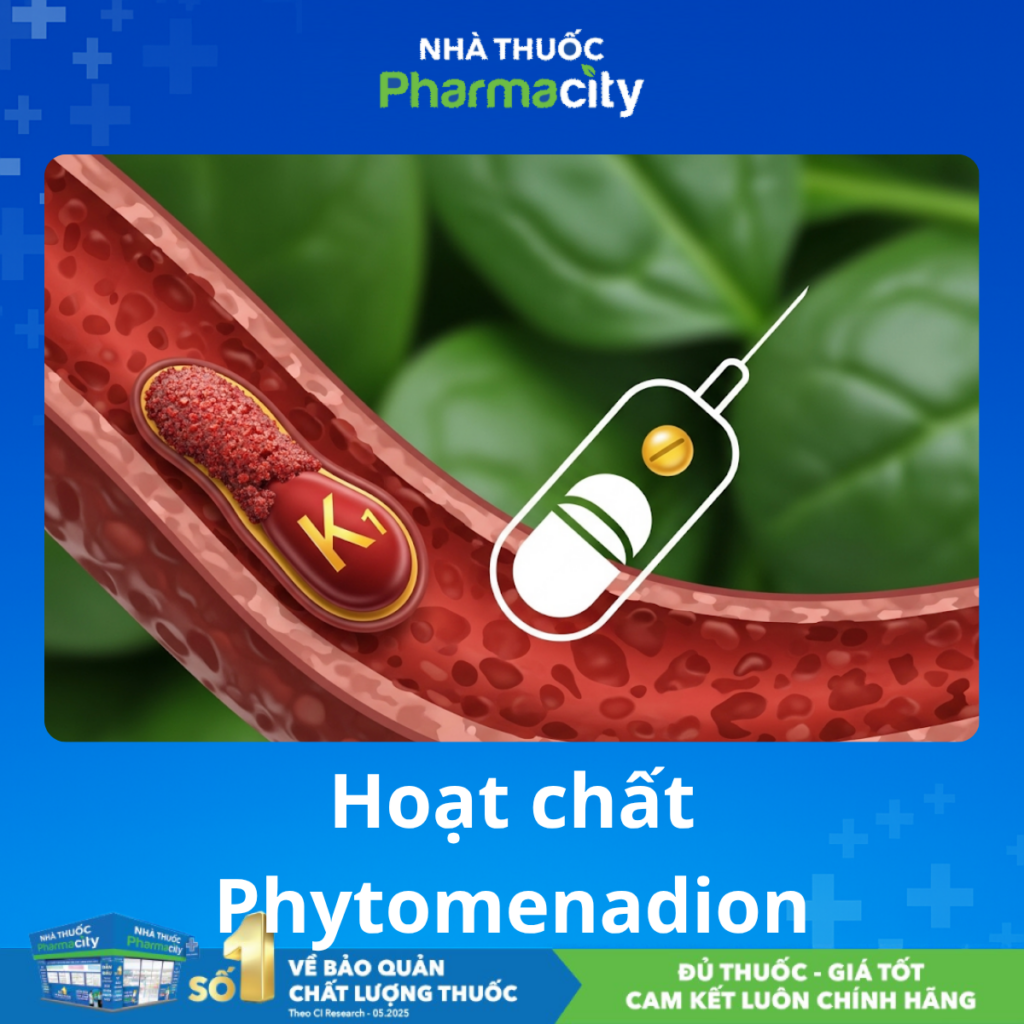 Hoạt chất Phytomenadion: Vitamin K1 thiết yếu cho đông máu và sức khỏe