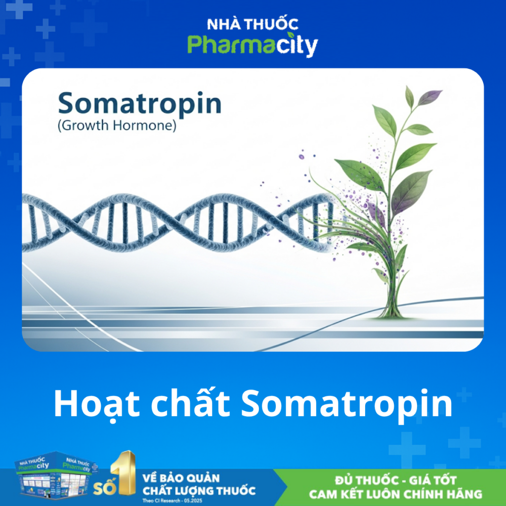 Hoạt chất Somatropin: Hormone tăng trưởng và ứng dụng y học quan trọng