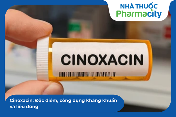 Cinoxacin: Đặc điểm, công dụng kháng khuẩn và liều dùng