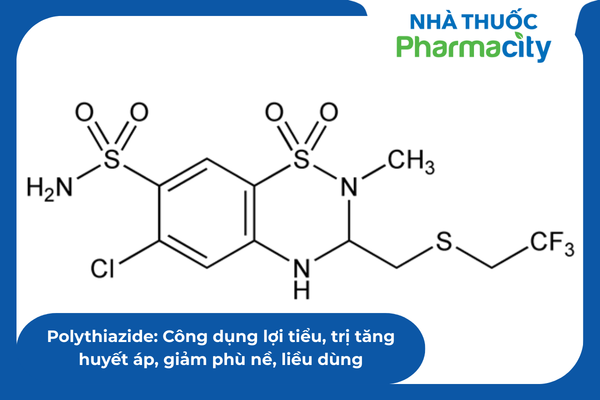 Polythiazide: Công dụng lợi tiểu, trị tăng huyết áp, giảm phù nề, liều dùng