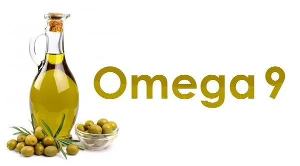 Omega 9 là gì? tác dụng và những điều cần biết về chất béo omega 9