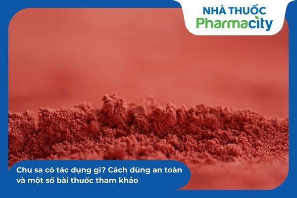 Chu sa có tác dụng gì? Cách dùng an toàn và một số bài thuốc tham khảo
