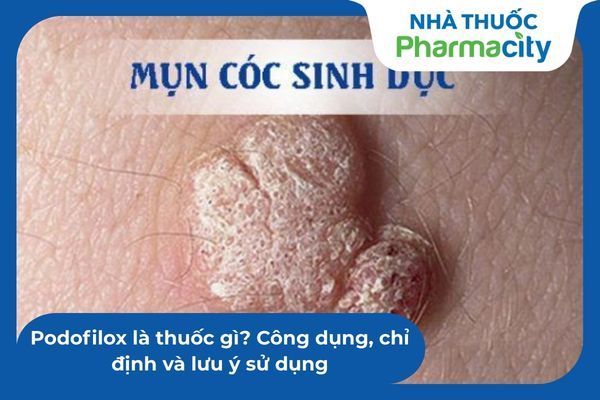 Podofilox là thuốc gì? Công dụng, chỉ định và lưu ý sử dụng