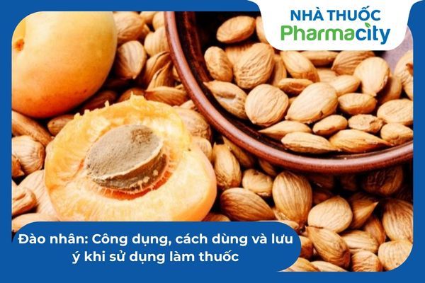 Đào nhân: Công dụng, cách dùng và lưu ý khi sử dụng làm thuốc