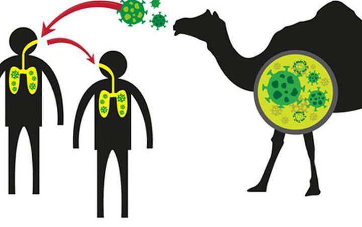 MERS là gì? Những điều cần biết về MERS