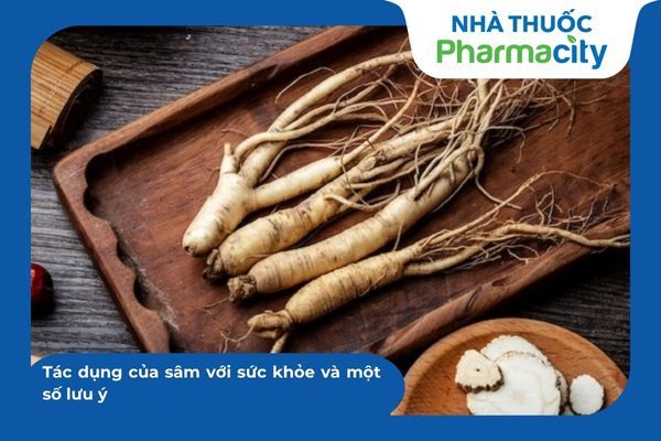 Tác dụng của sâm với sức khỏe và một số lưu ý | Pharmacity